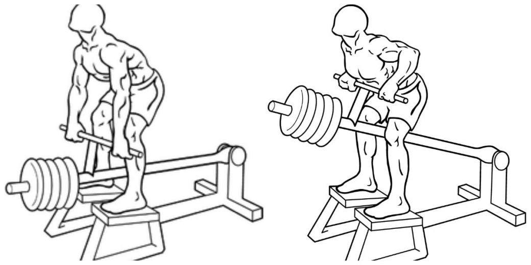 T-bar Rows Benefits, Set-up, And Muscles Worked In The Exercise